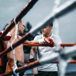 What is the Most Popular Boxing Organization? - BOXINGFELLAS