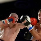 What is the Most Popular Boxing Organization? - BOXINGFELLAS